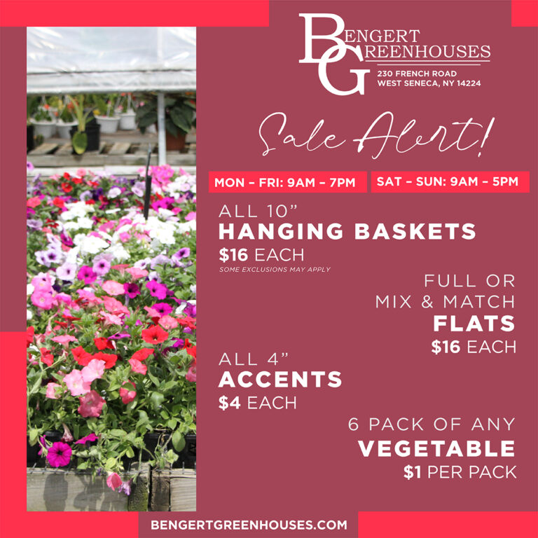 Bengerts-08 - Bengert Greenhouses